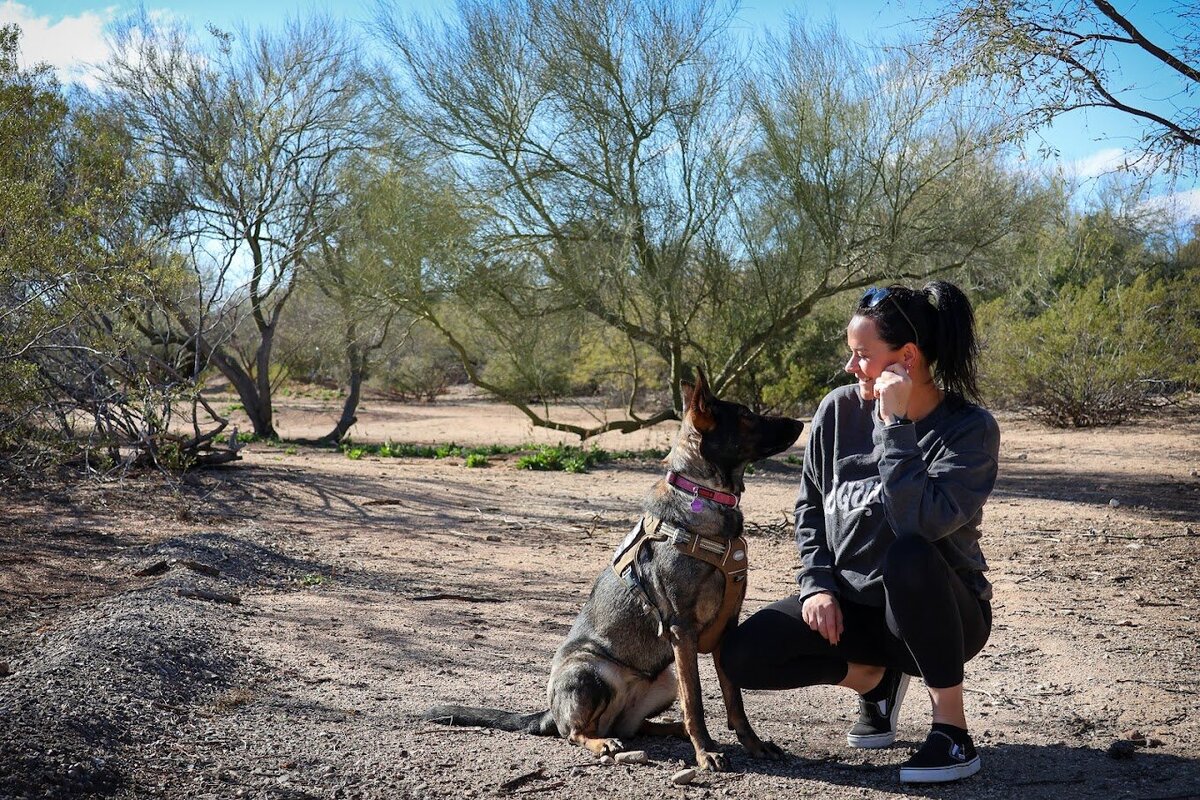 Start Pawsitive Dog Training | In-Home Puppy Board and Train