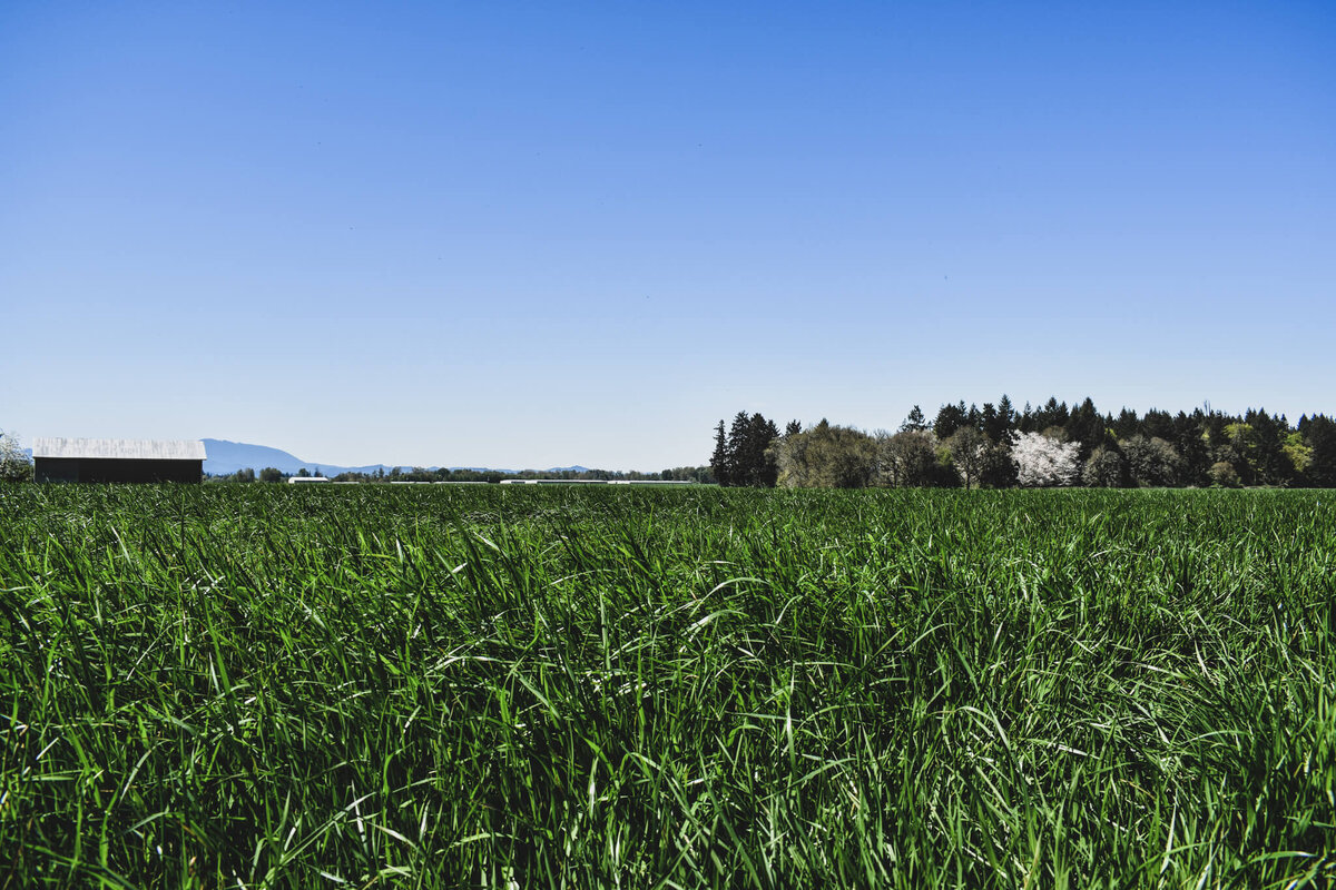 Home [heronagriculture.com]