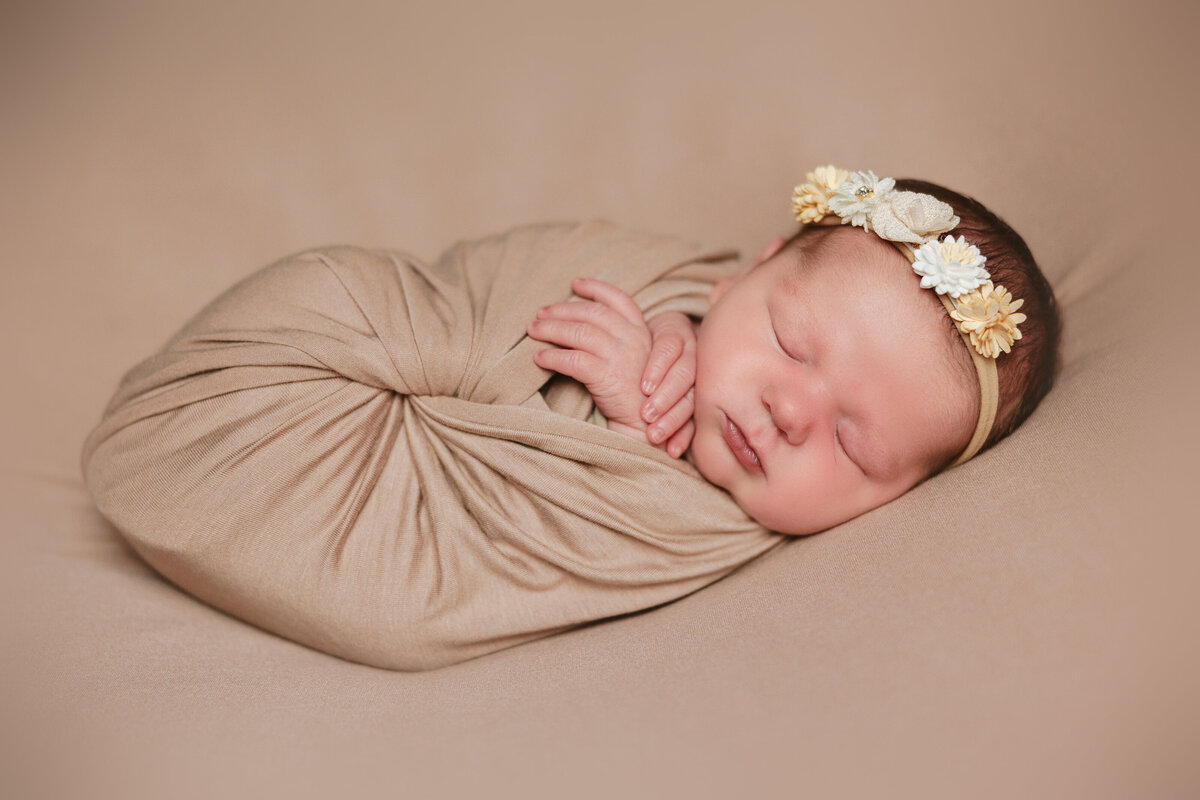 Studio Newborn Sessions with Three Twenty Studio