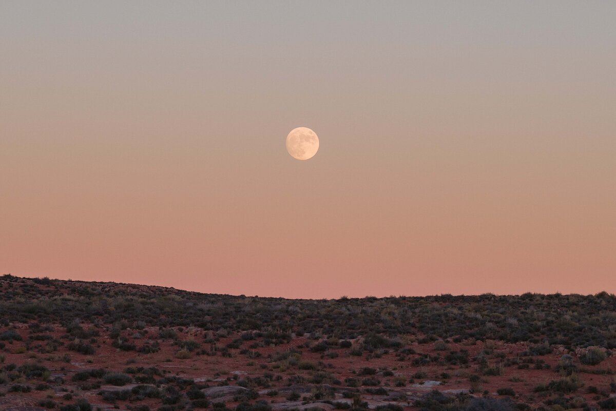 Home [www.helloemilie.com]