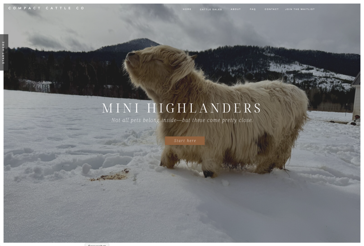 Compact Cattle Co | Cle Elum, WA