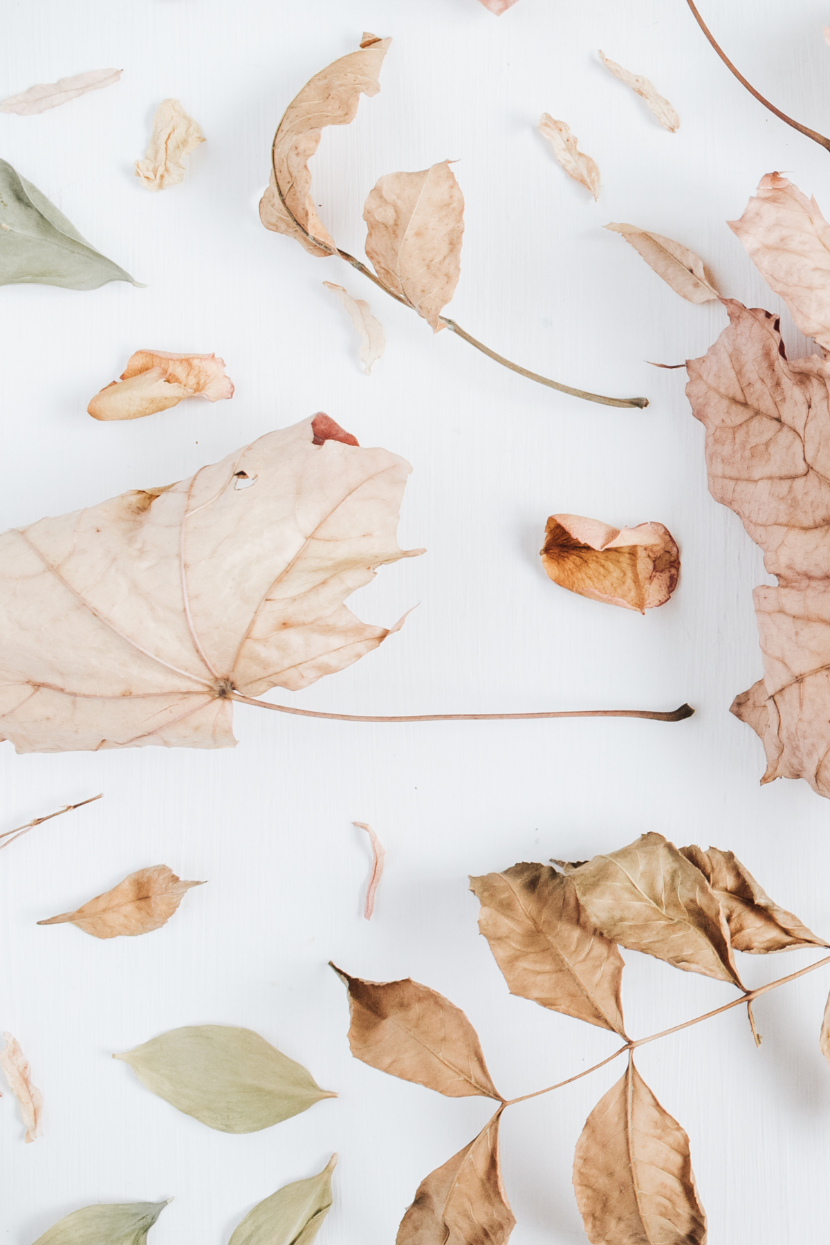 The Working Professional's Holiday 2025 Guide | Kelly Nolan