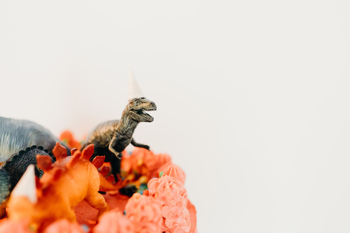 Candid, organic, in-the-moment photography based in NWA