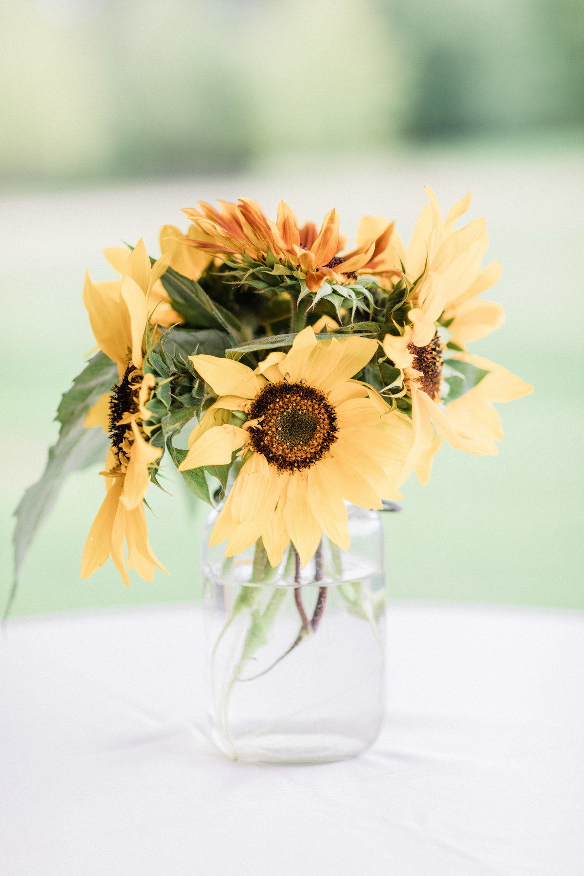 Portfolio | Marie Cowan Photography