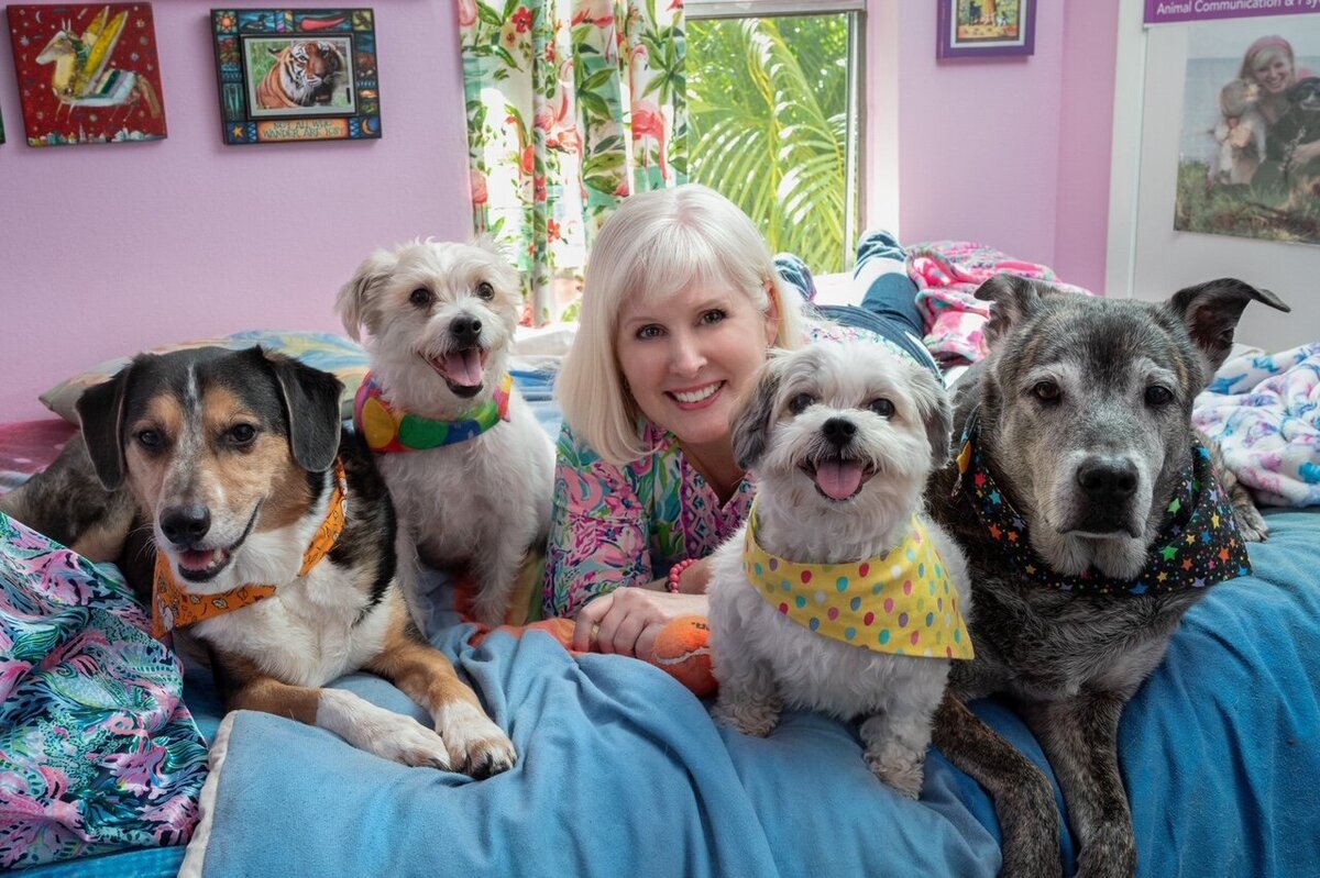 Animal Communicator & Psychic Medium | Shannon Spring