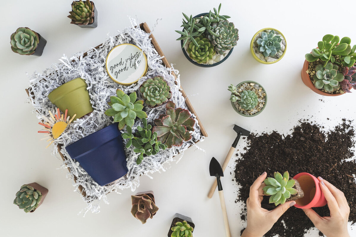 Virtual Workshops for Corporations