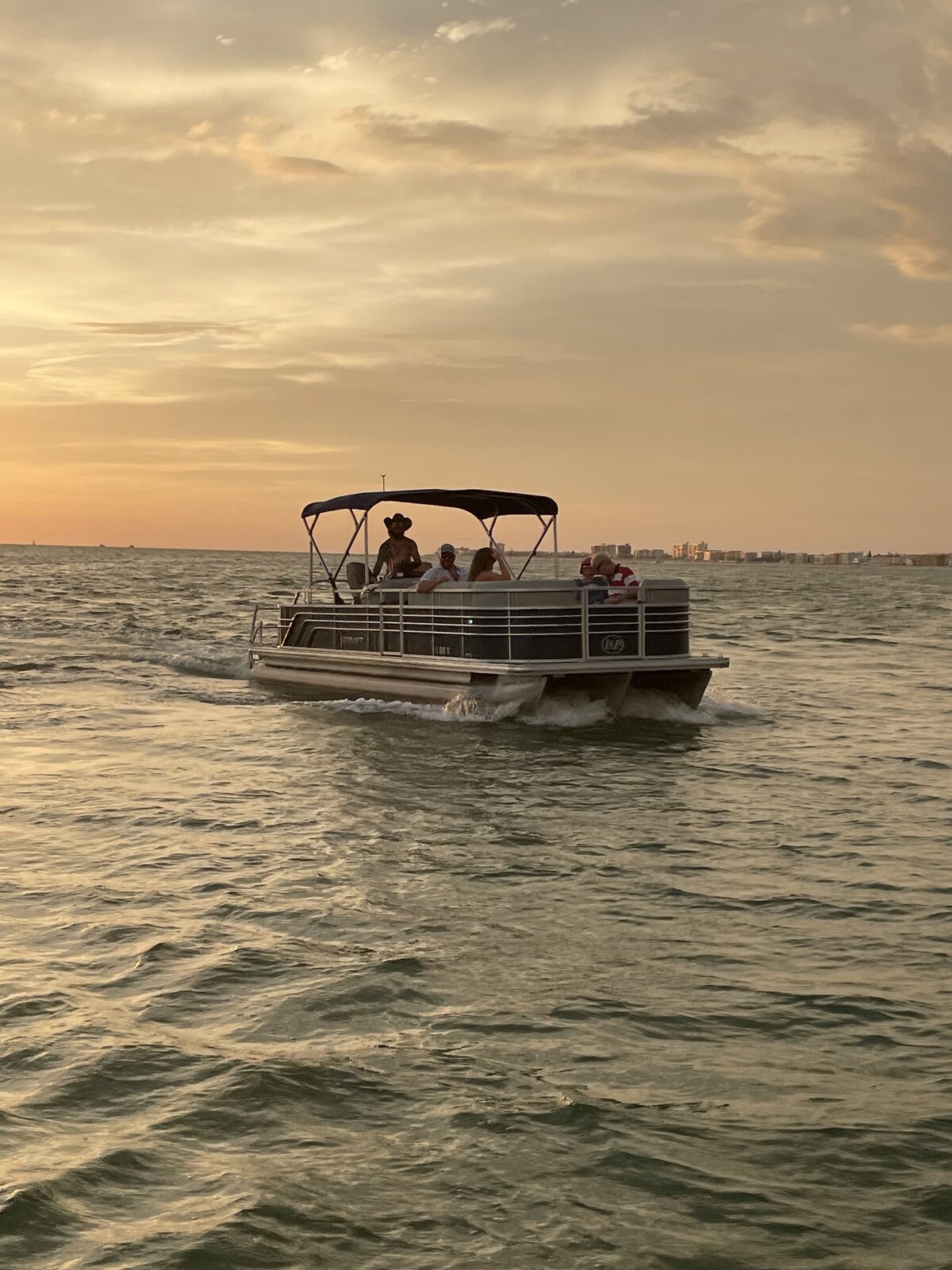 Dolphin Tour, Johns pass , Shell key tours, Egmont Key tour