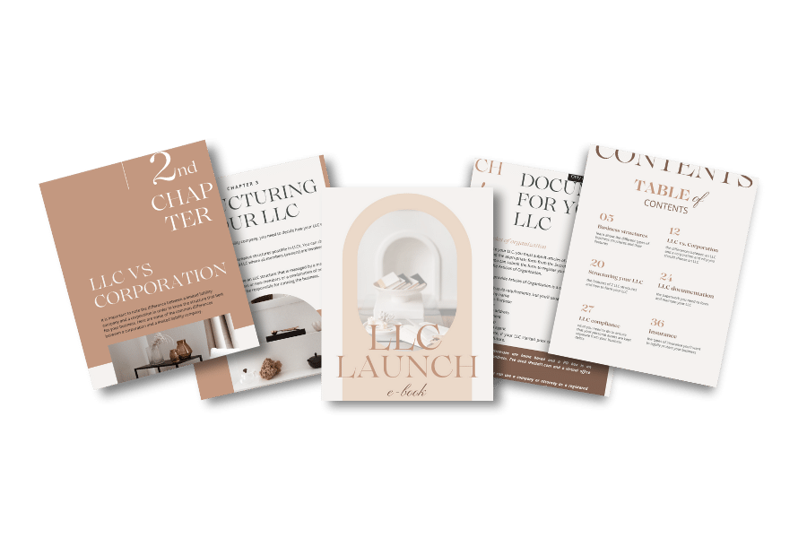 LLC Launch | DIY LLC Starter Kit