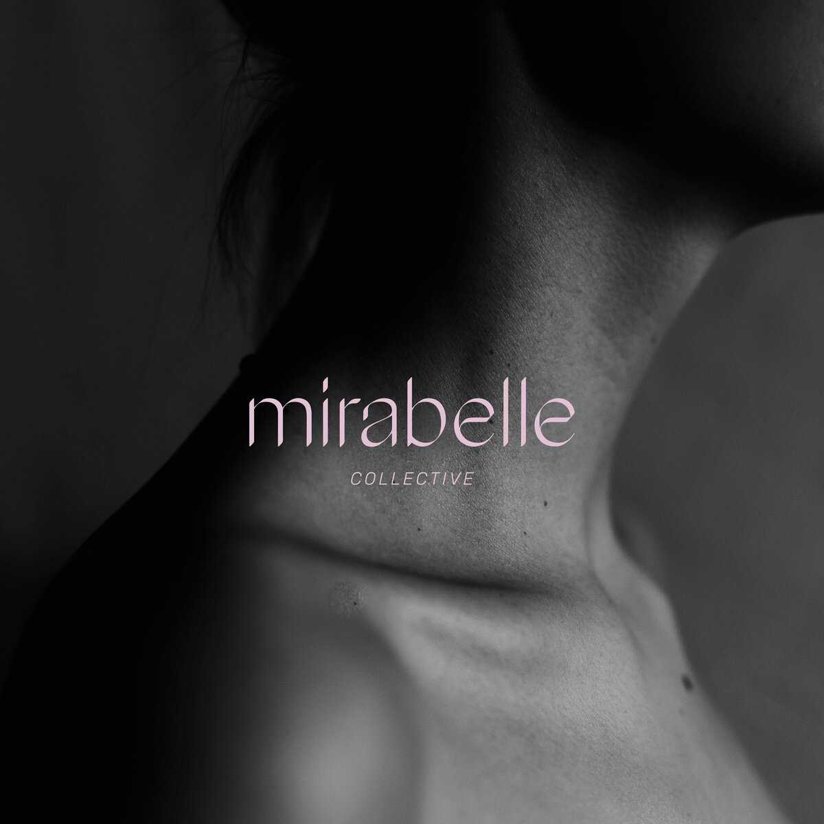 Mirabelle Brand Kit