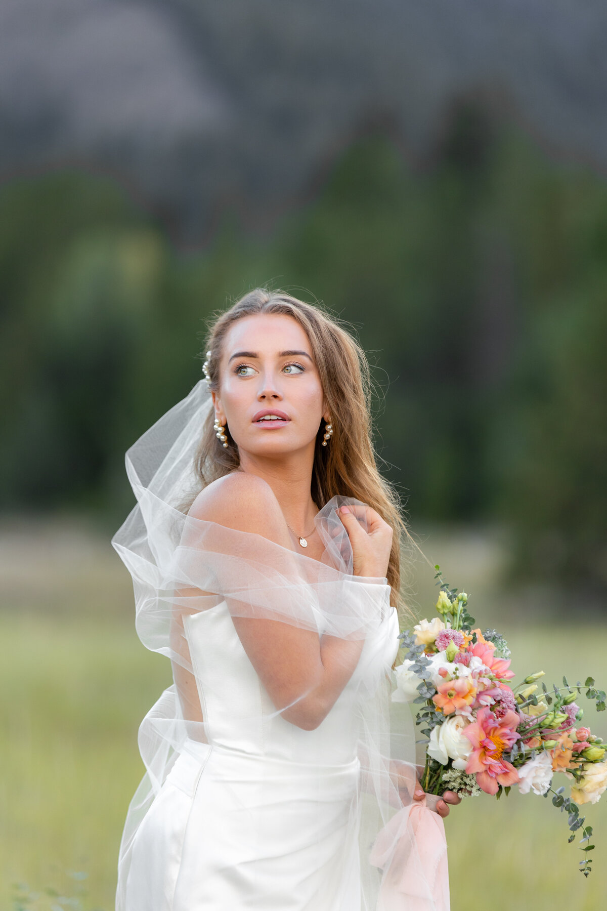 Sun Valley & Nashville Wedding Photographer
