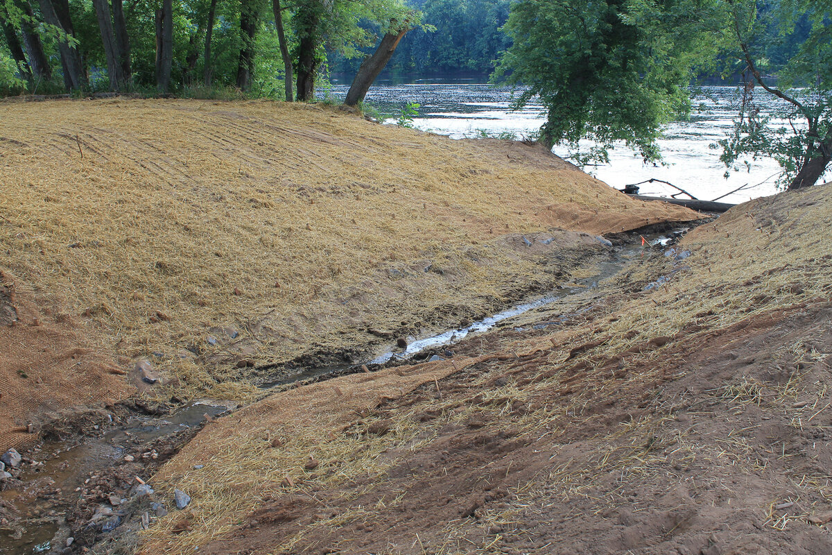 Virginia Wetland Consulting- Virginia Wetland and Stream Mitigation Banks