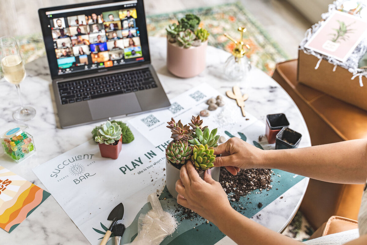 Interactive Virtual Succulent Class | Succulent Bar
