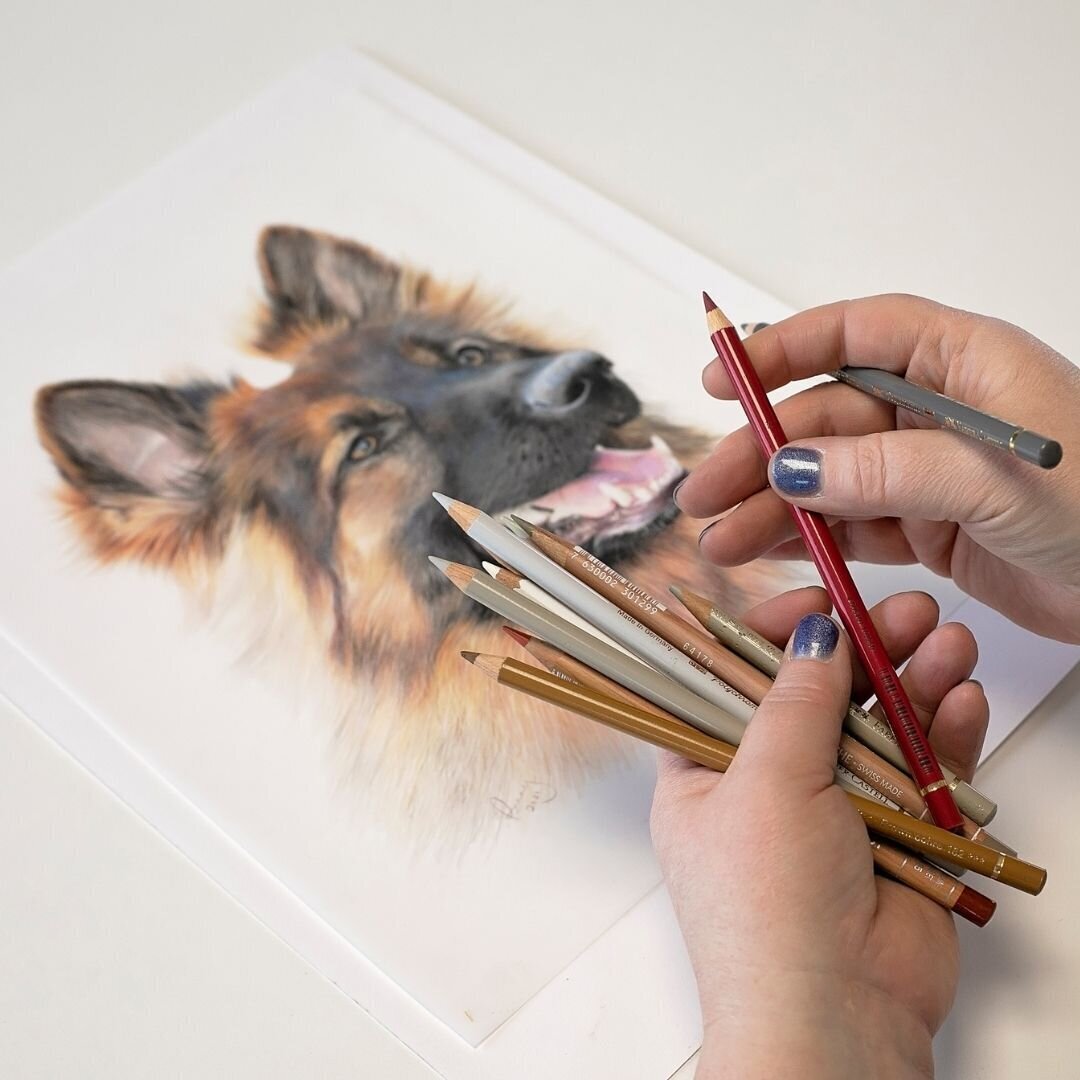 Join The Waitlist For Coloured Pencil Week