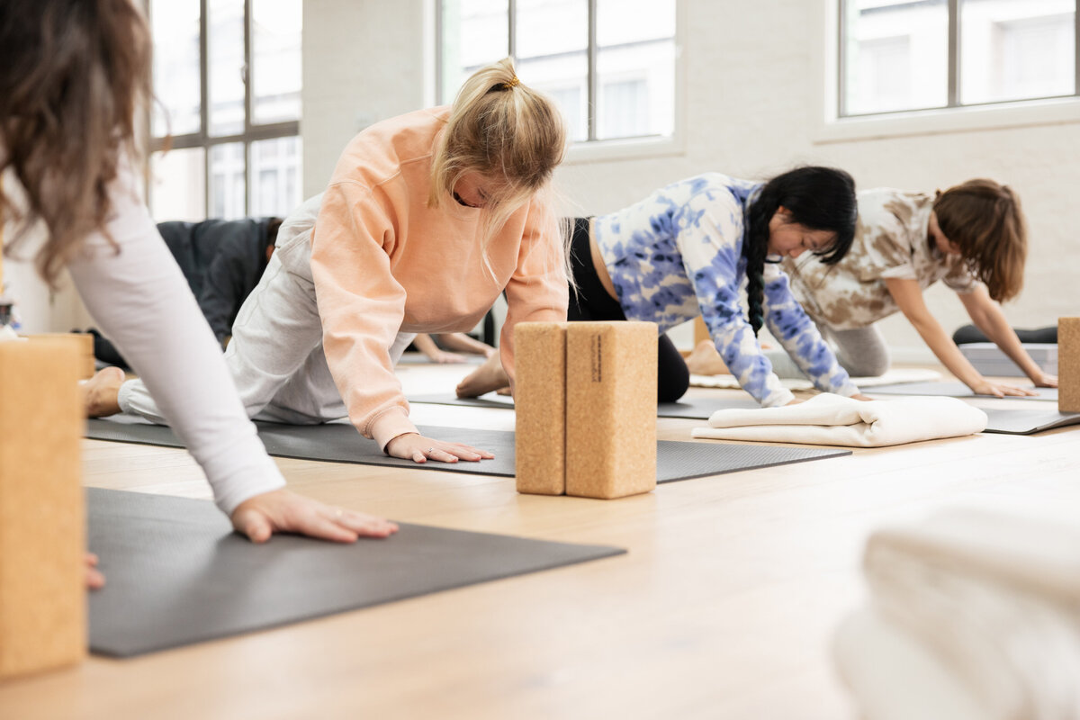 British Wheel of Yoga Teacher Training Introductory Day