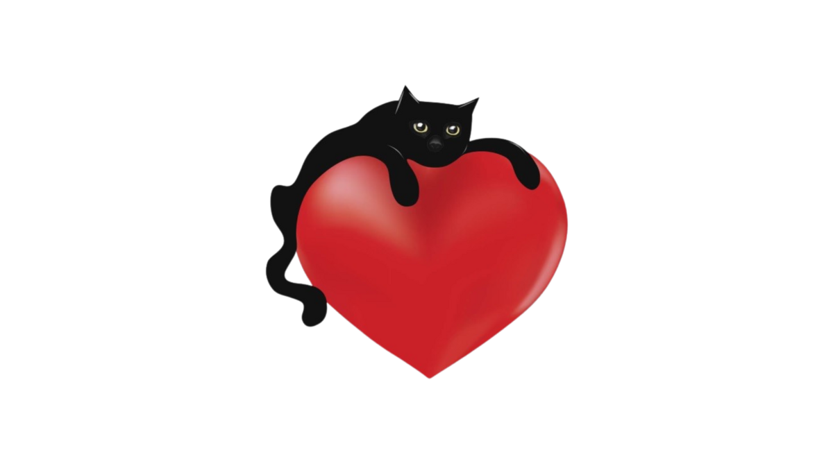 Love Me True Rescue | HOME