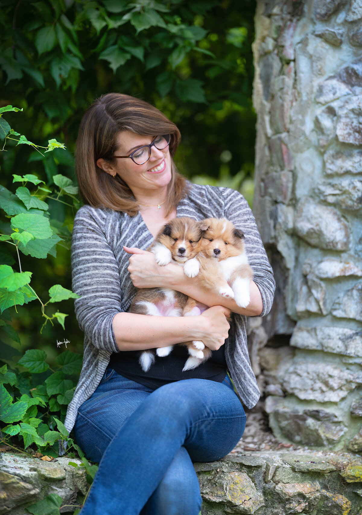 Showtime Design - Show Dog Graphic Design :: Jen Milani