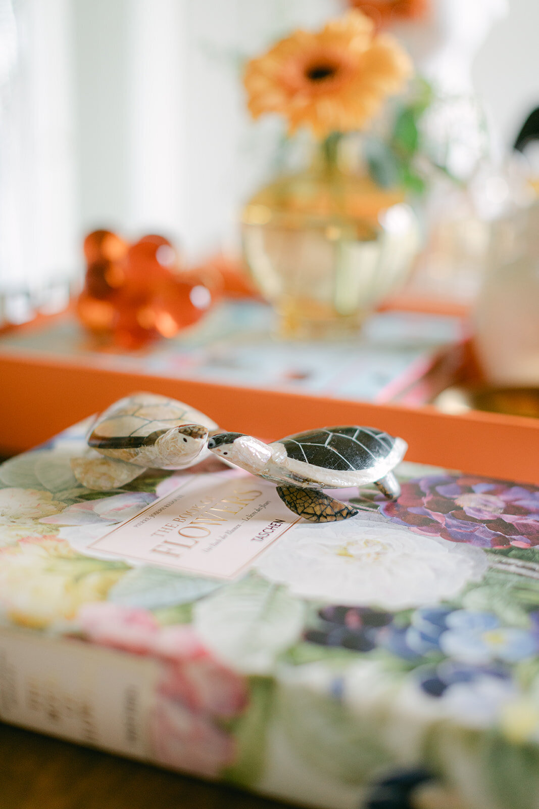 Timeless Acres Farm - Maria Killam | Timeless Colour