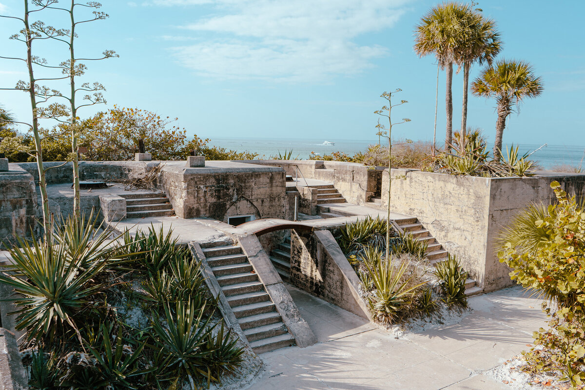 Dolphin Tour, Johns pass , Shell key tours, Egmont Key tour