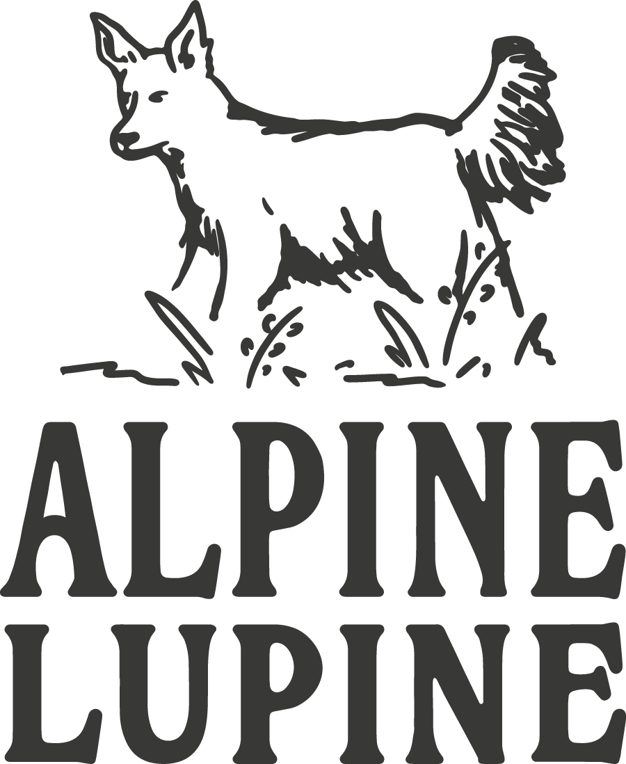 Alpine Lupine | Montana Based Brand & Web Design Studio