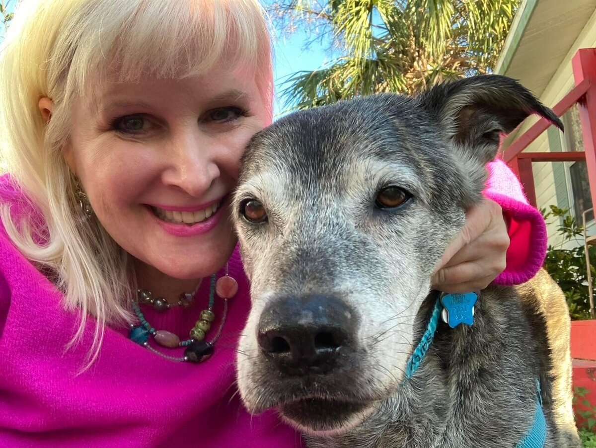 Contact | Schedule a Reading | Shannon Spring