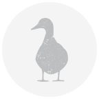 Home [grayduckstudios.com]