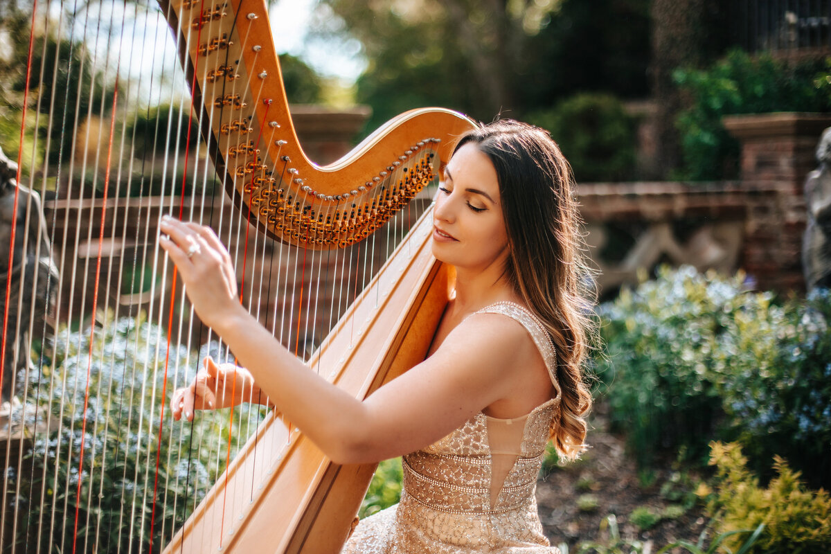 See the RVA Harpist Experience