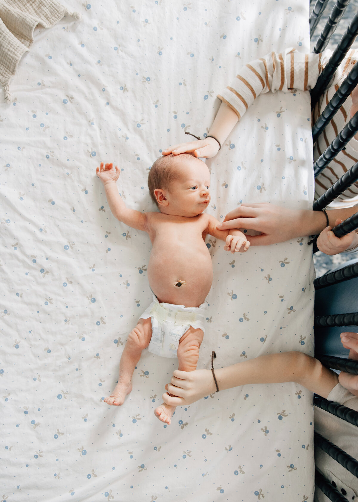 Experience | Edmond Oklahoma Family Photographer