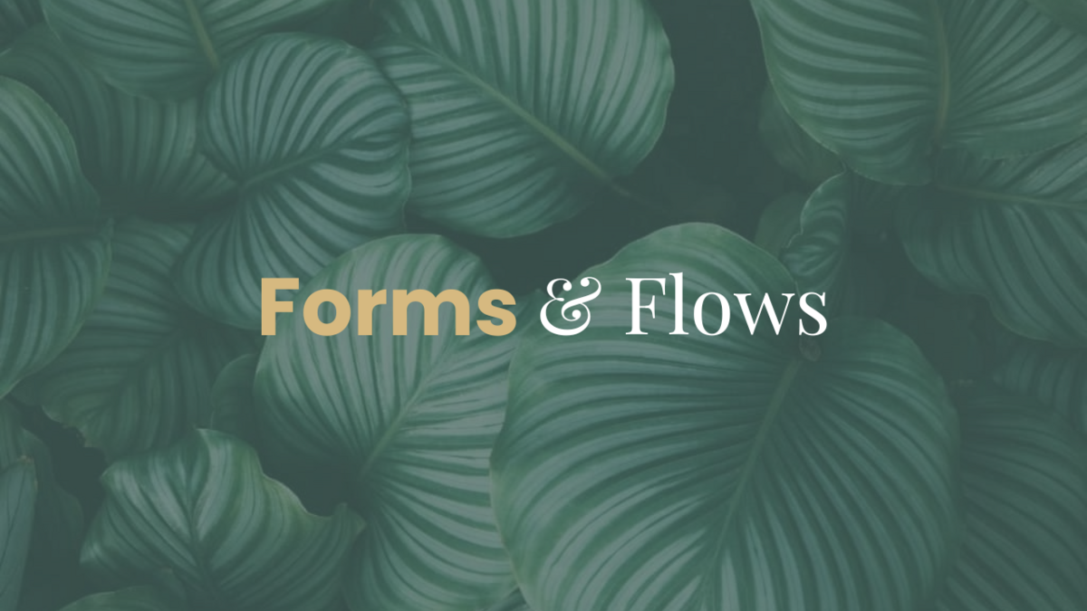 Elegant Dubsado Workflows & Stunning Forms | Forms & Flows