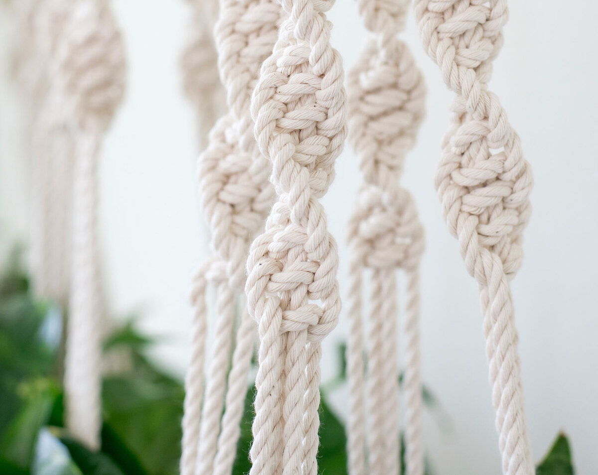 Shop Premium Rope Macrame Plant Hanger | Larks and Leo