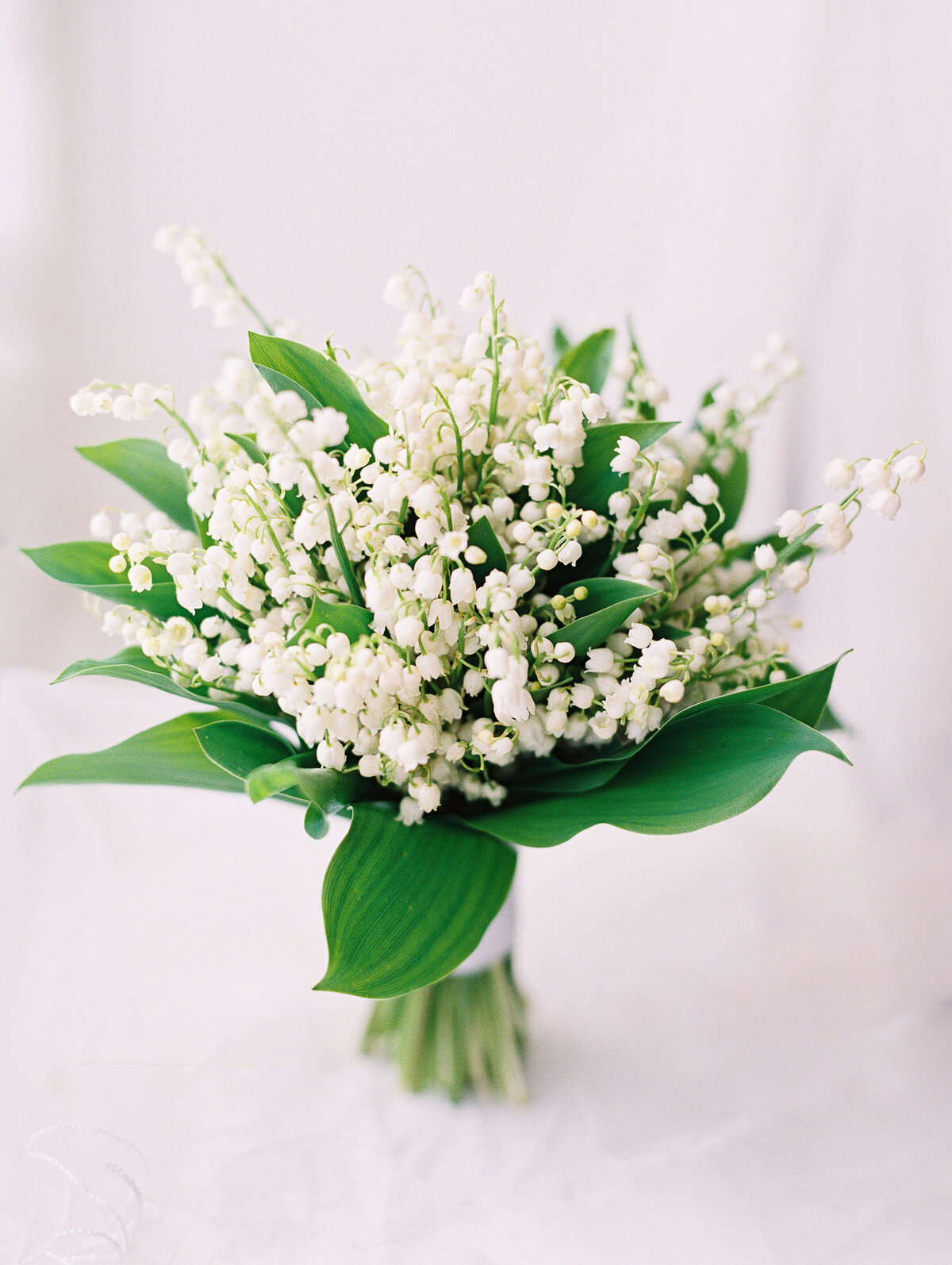 HOME [claryphoto.com]