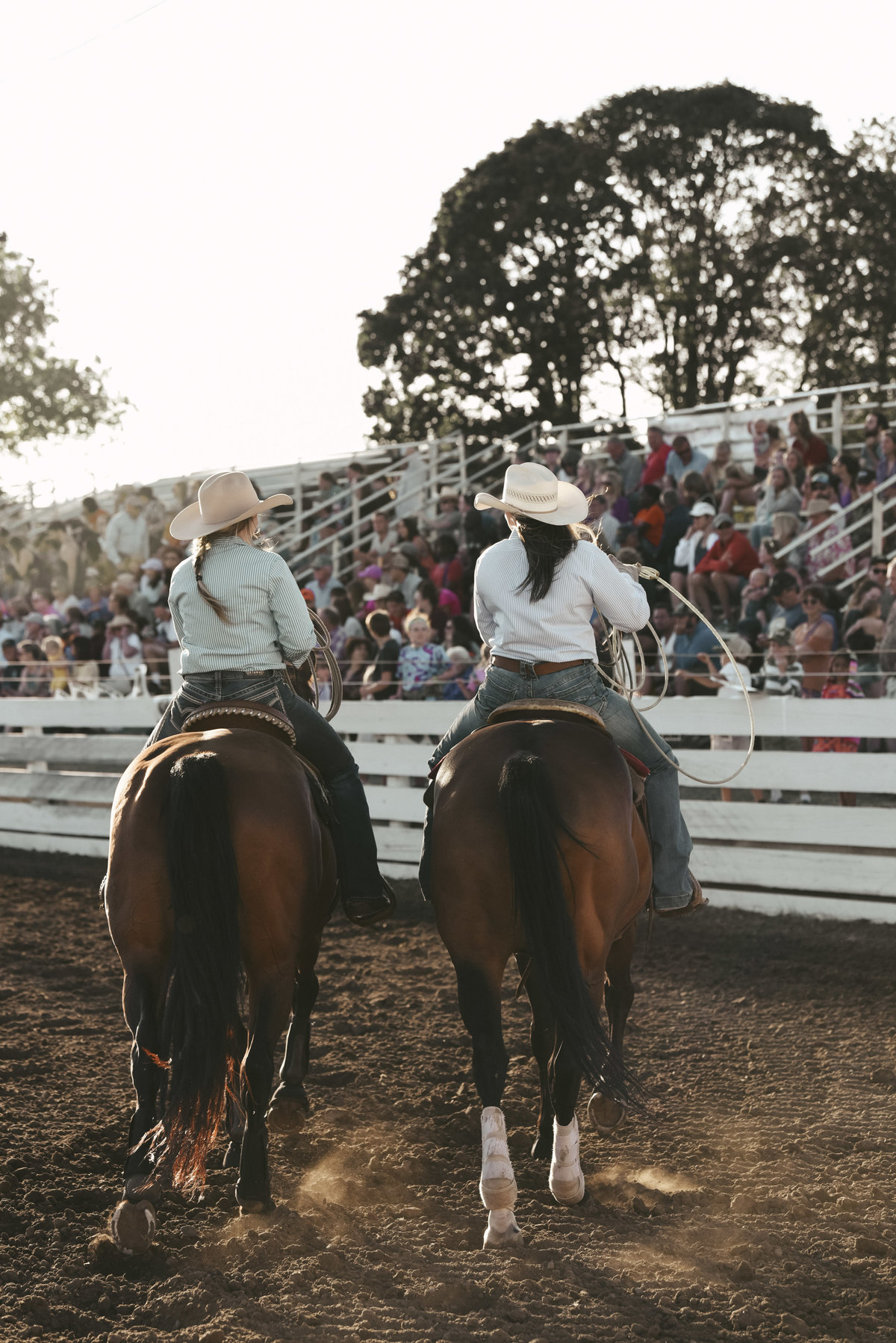 Home [jlee.photography]