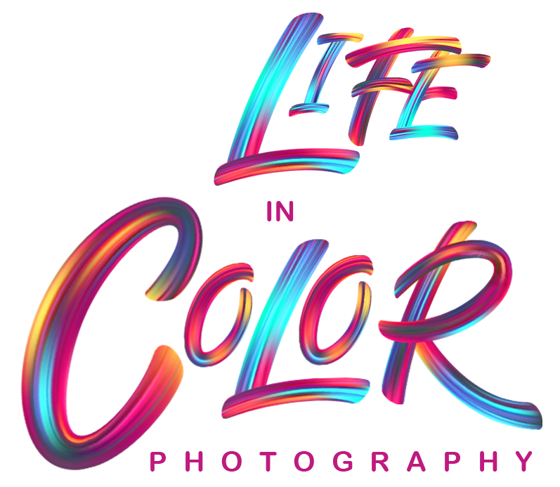 Overland Park Baby and Family Photographer | Life in Color