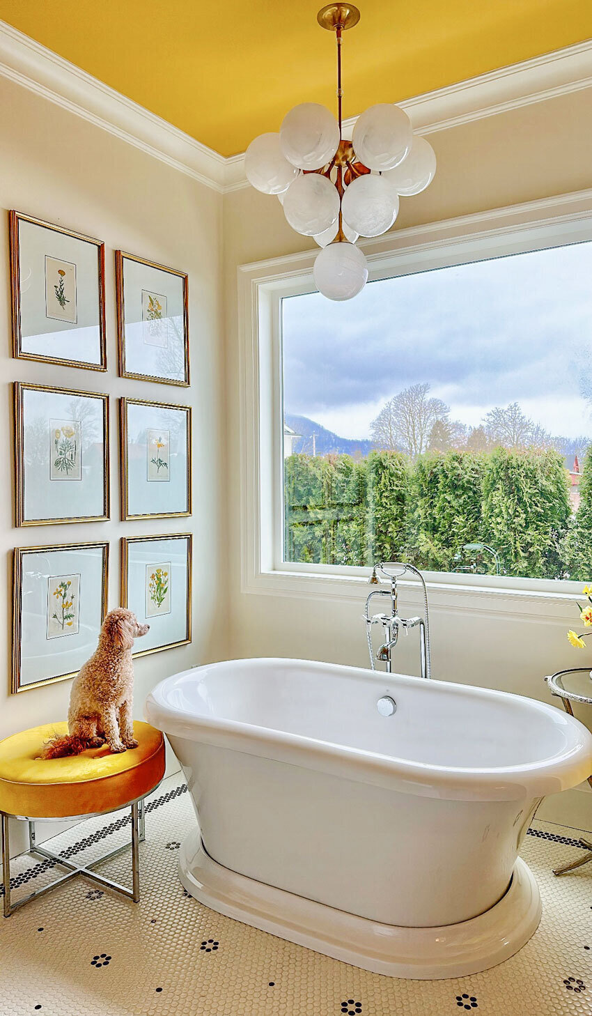 Timeless Acres Farm - Maria Killam | Timeless Colour