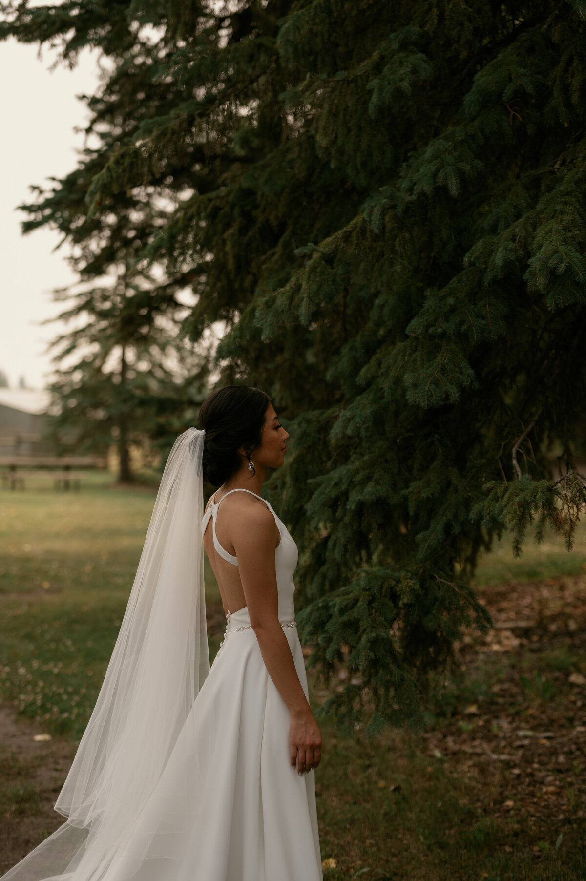 Stephanie Kristine Photography Wedding Photographer Alberta