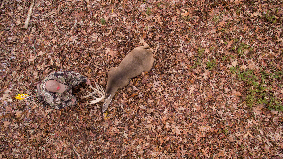 Outdoor/Wildlife Photography - Raven 6 Studios