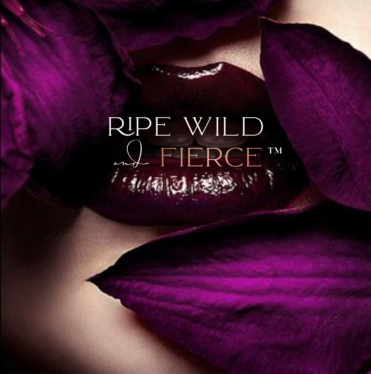 Ripe, Wild & Fierce Course - Susan Elizabeth Coaching