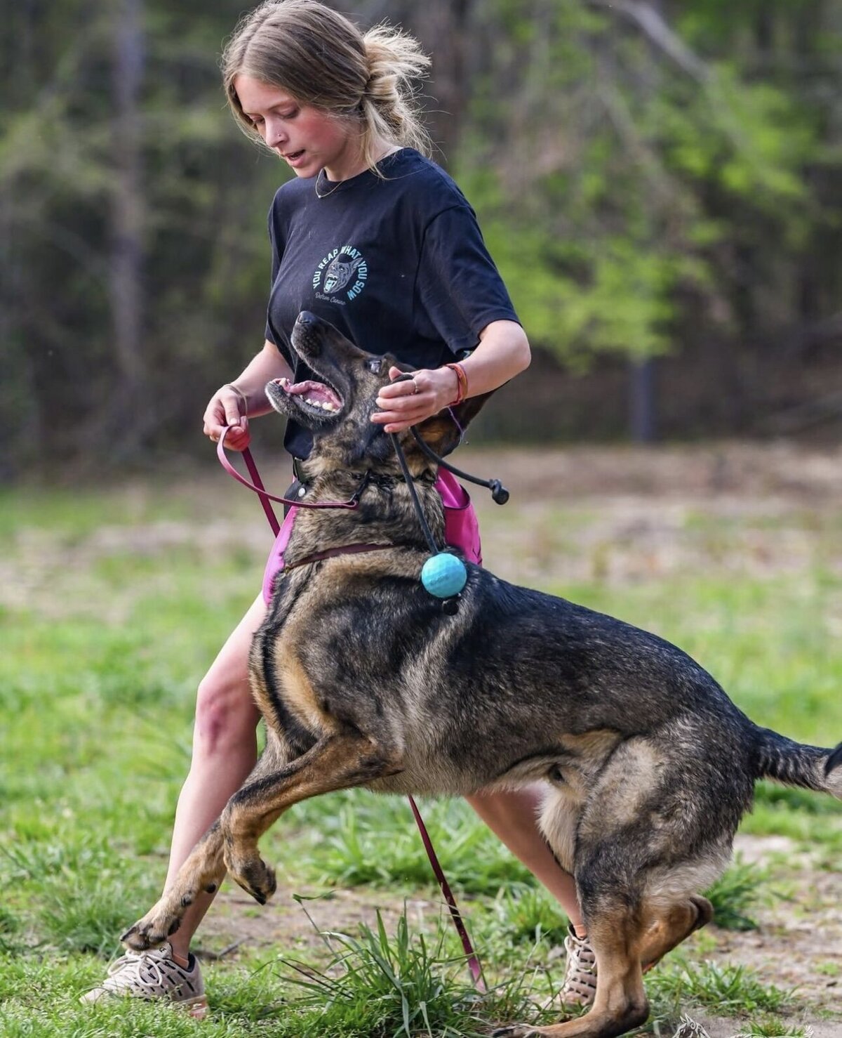 Professional Dog Training in Charleston South Carolina