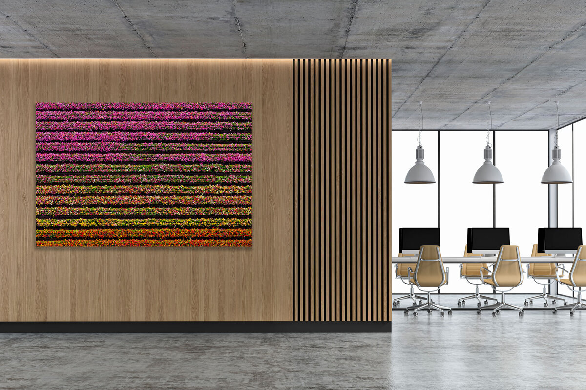 Magic Carpet | Donn Delson | Aerial Photographer