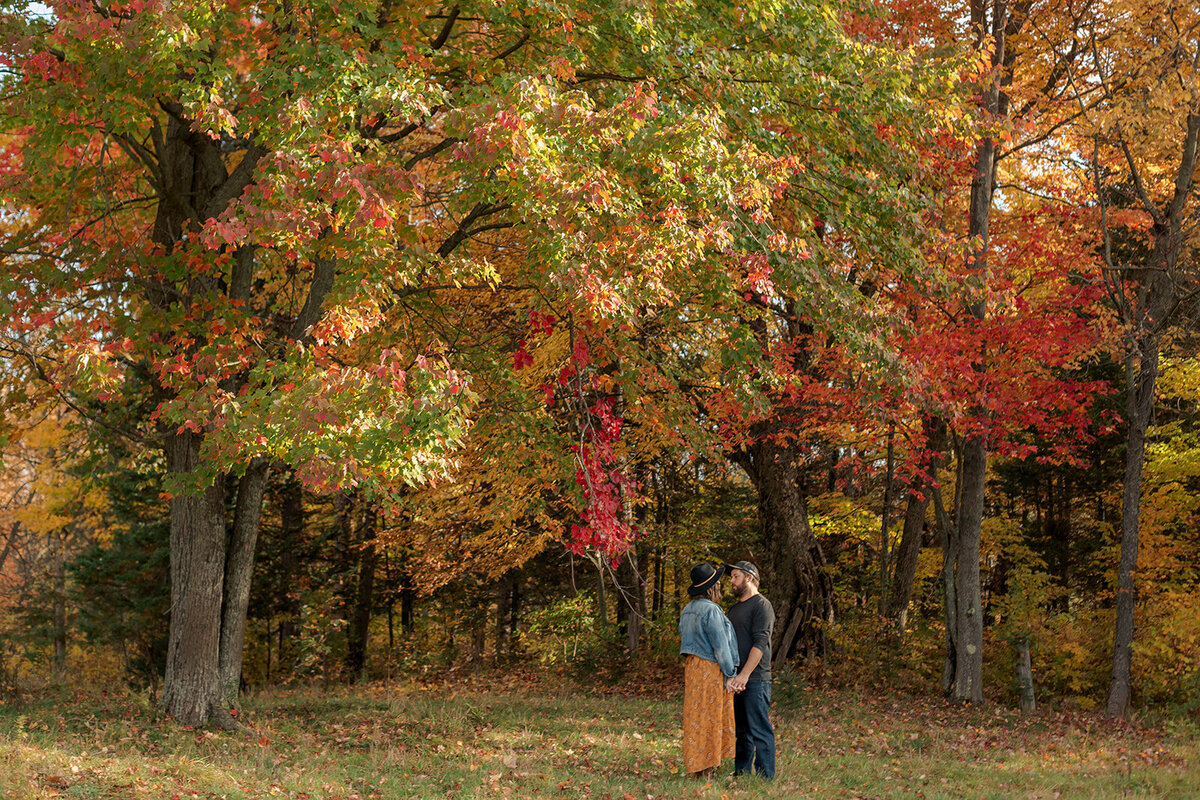 Home [emilycrites.com]