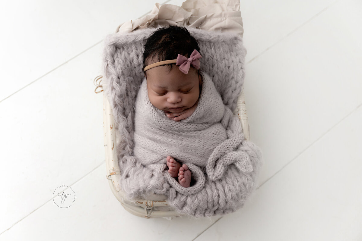 Knoxville Family, Baby, and Newborn Photographer: Taryn Yager