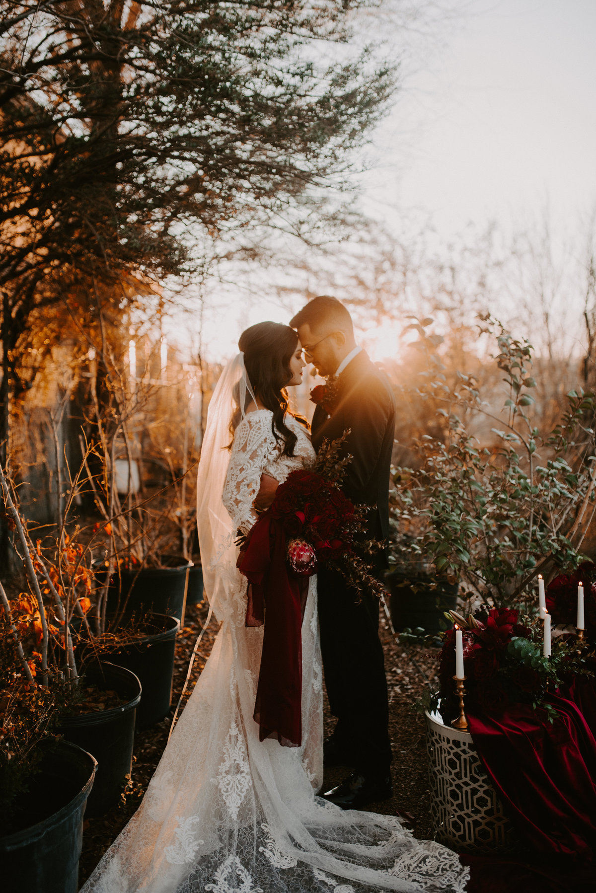 Home [veronicacook.com]