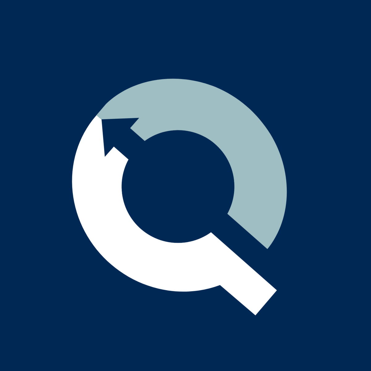 Home | Quantum CFO Advisory and Services