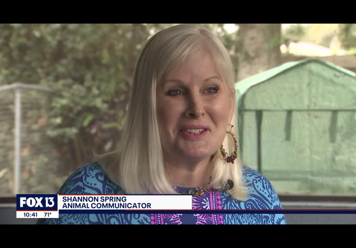 Media | Animal Communicator & Psychic Medium Shannon Spring