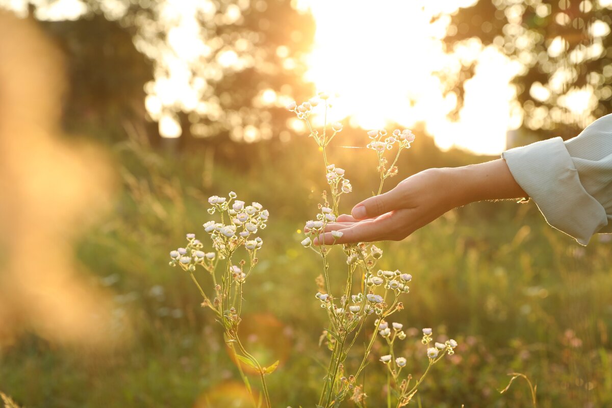 Print and Magazine Design for Small Businesses | Ditch Daisy