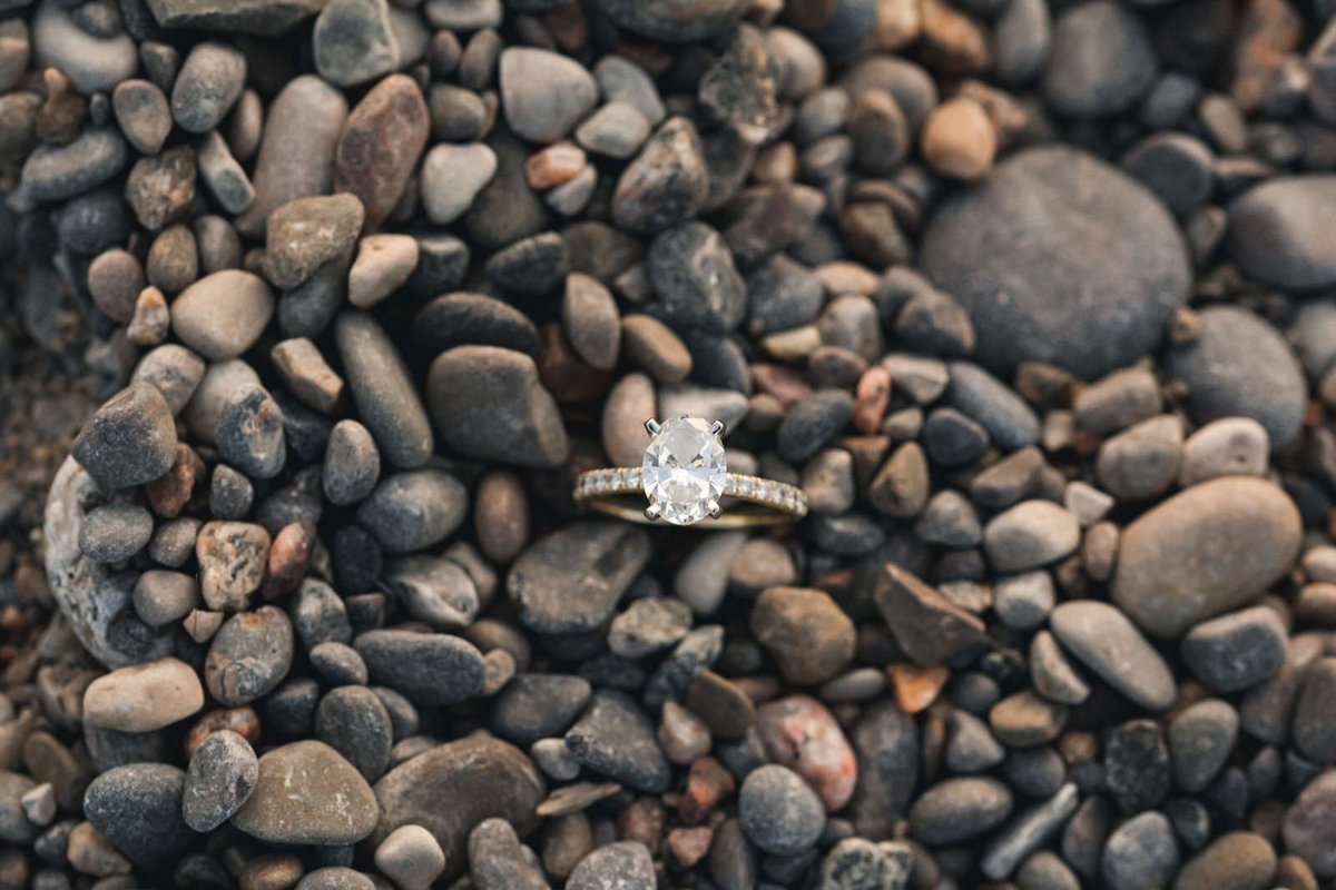 Sandra Monaco | Engagement Photography in Kitchener-Waterloo