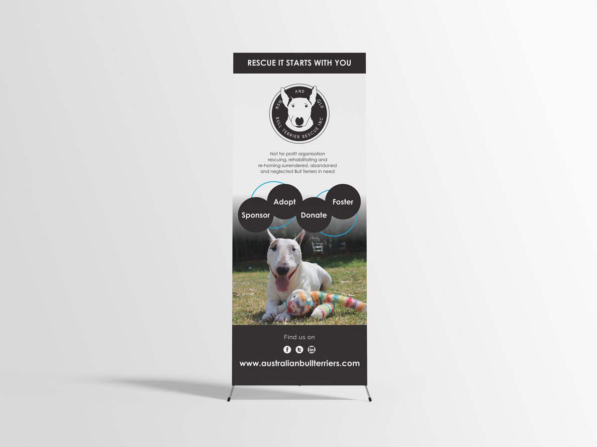 Brand Identity and Graphic Design | White Ink Creative