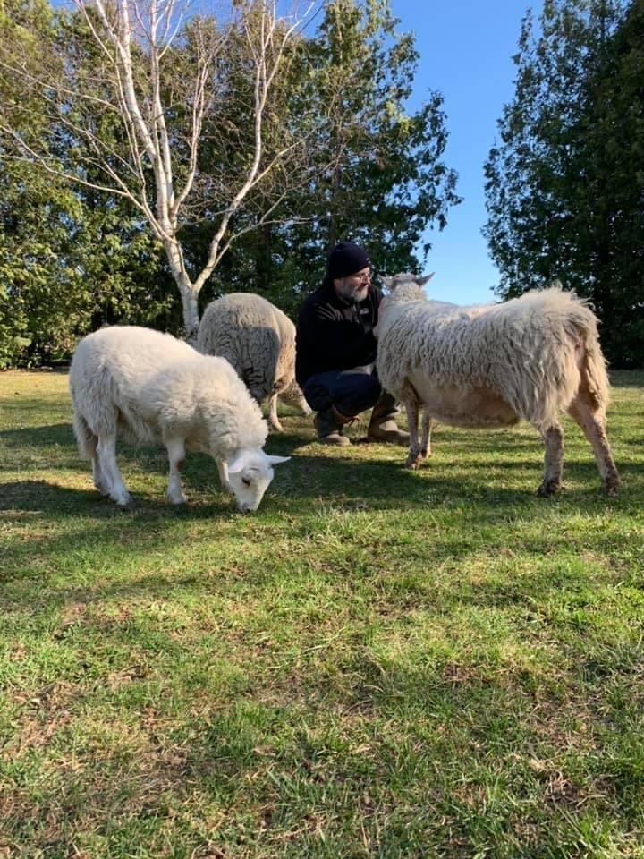 Meet the Animals at Lily's Place Animal Sanctuary