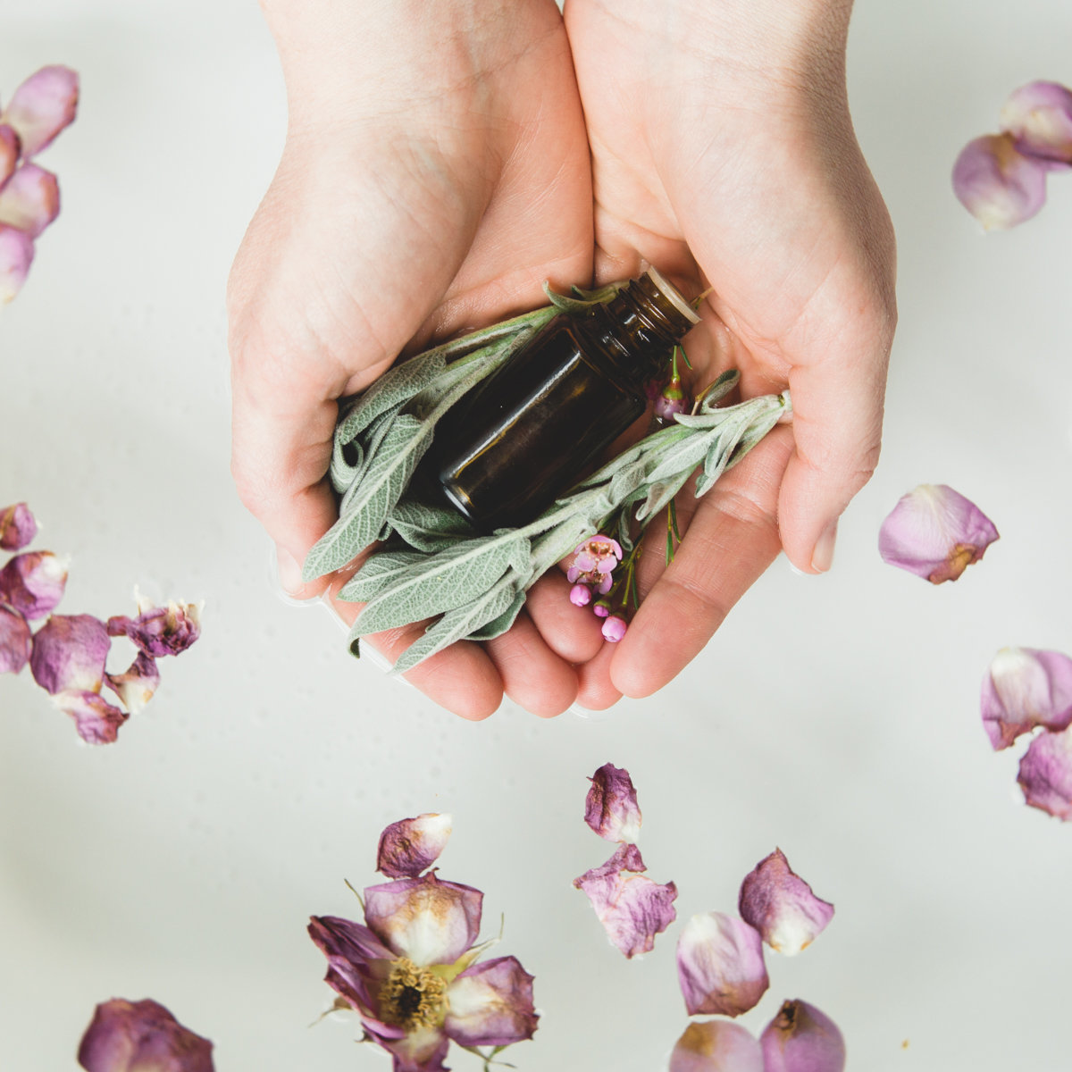 Healing power of essential oils doterra light and lotus