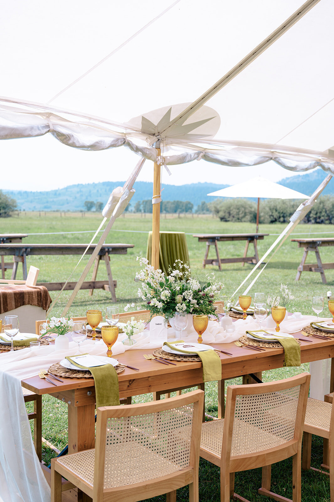 Diamond Cross Ranch Wedding