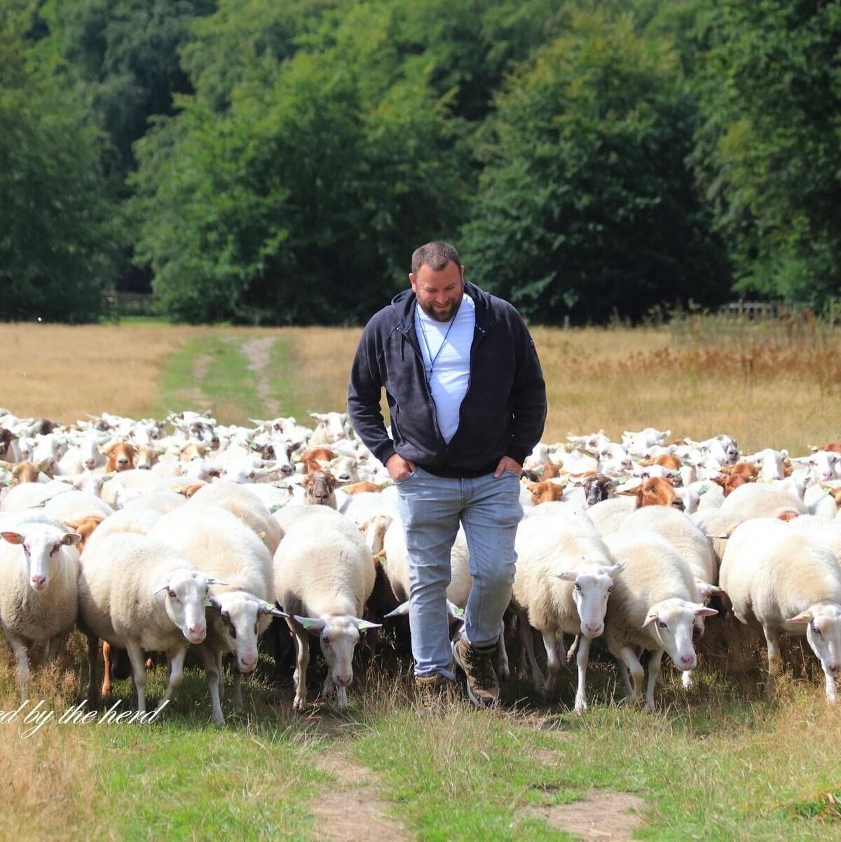 Over ons - Schapendrijven Workshop - Gedreven door passie